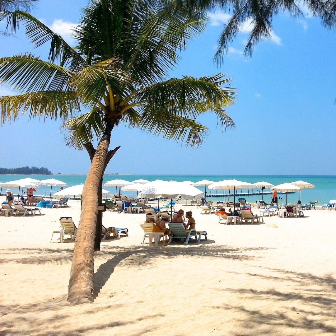 Semakau Island: A Secret Sanctuary That Went From Trash To Treasure