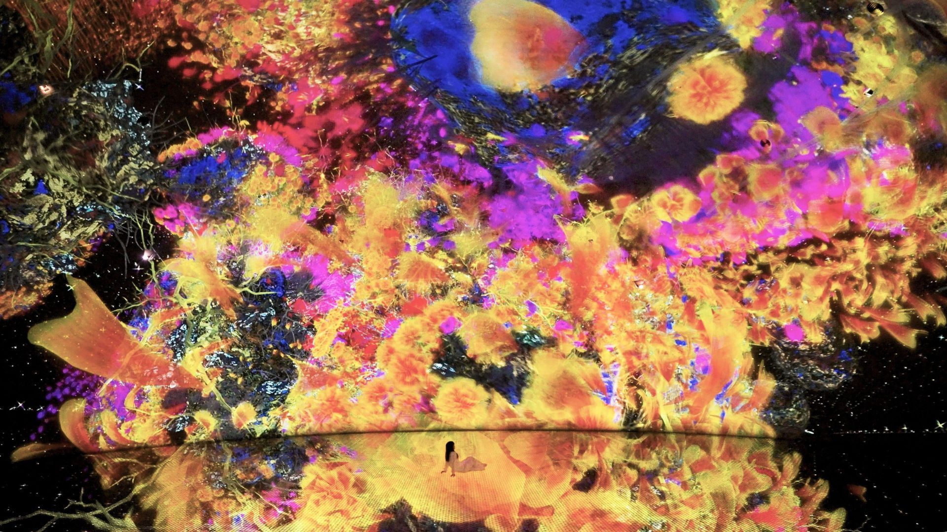 teamLab Phenomena In Abu Dhabi: Immersive Artworks Open For Visitors