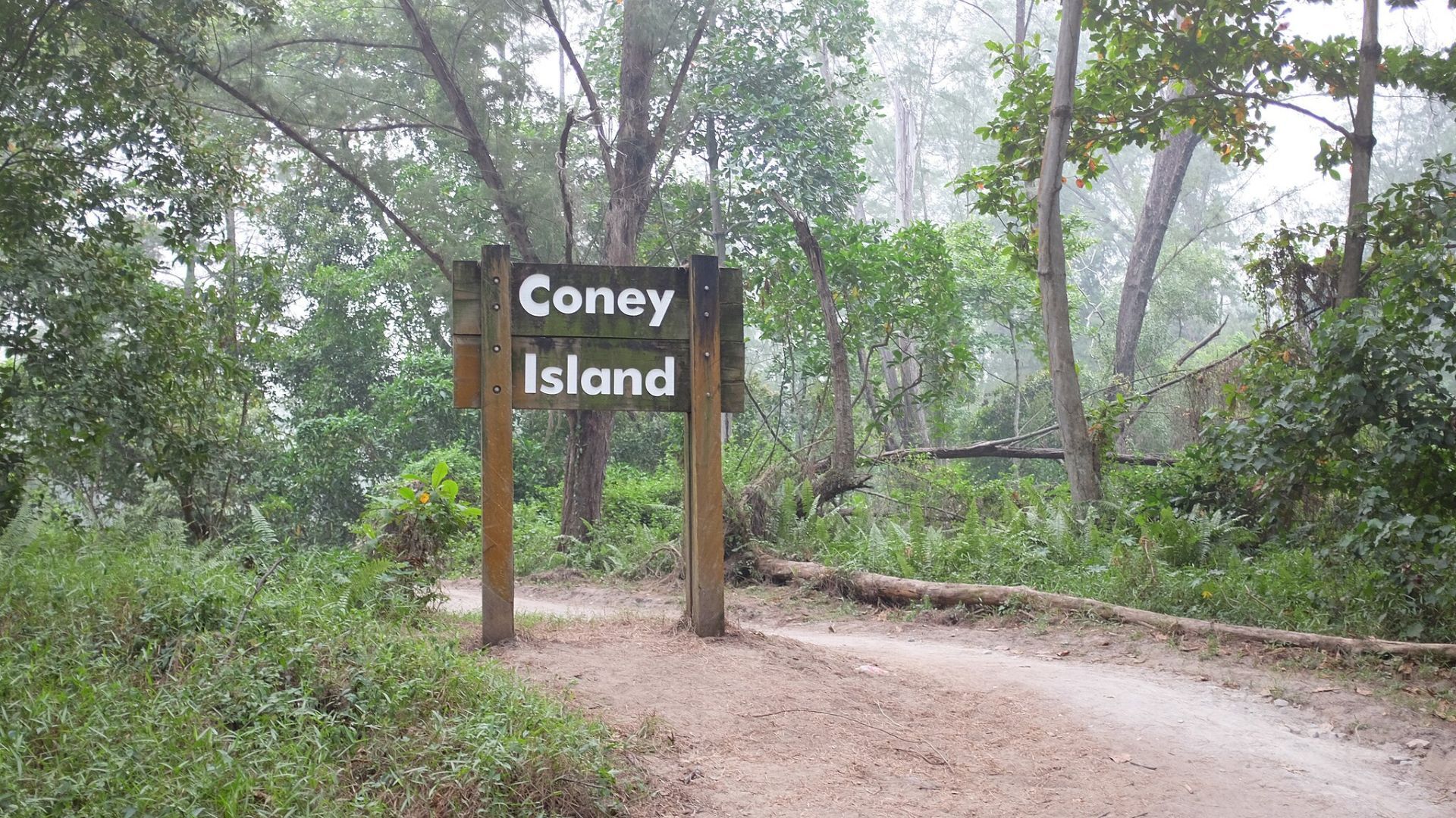 Coney Island For First-Time Visitors: A Serene Nature Escape In Singapore