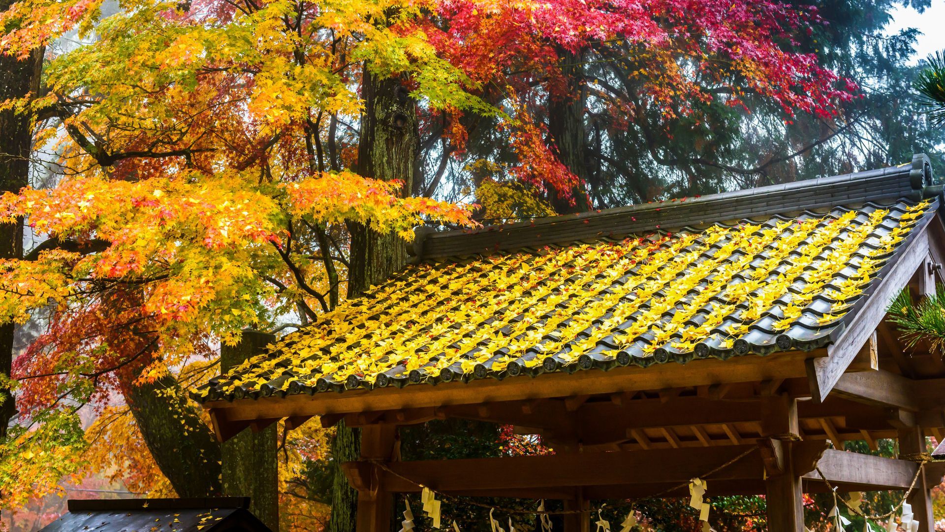Things To Do In Nagoya: A Compact Travel Guide To Japan's Unique City