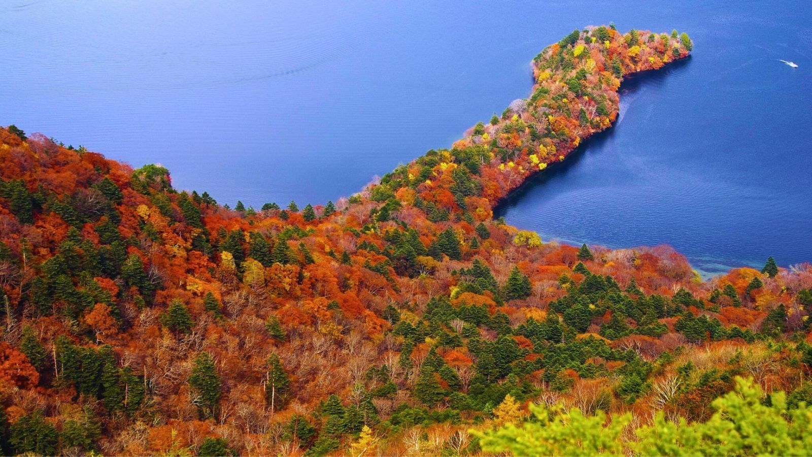 Day Trips From Tokyo: The Best Retreats To Unwind And Explore Around