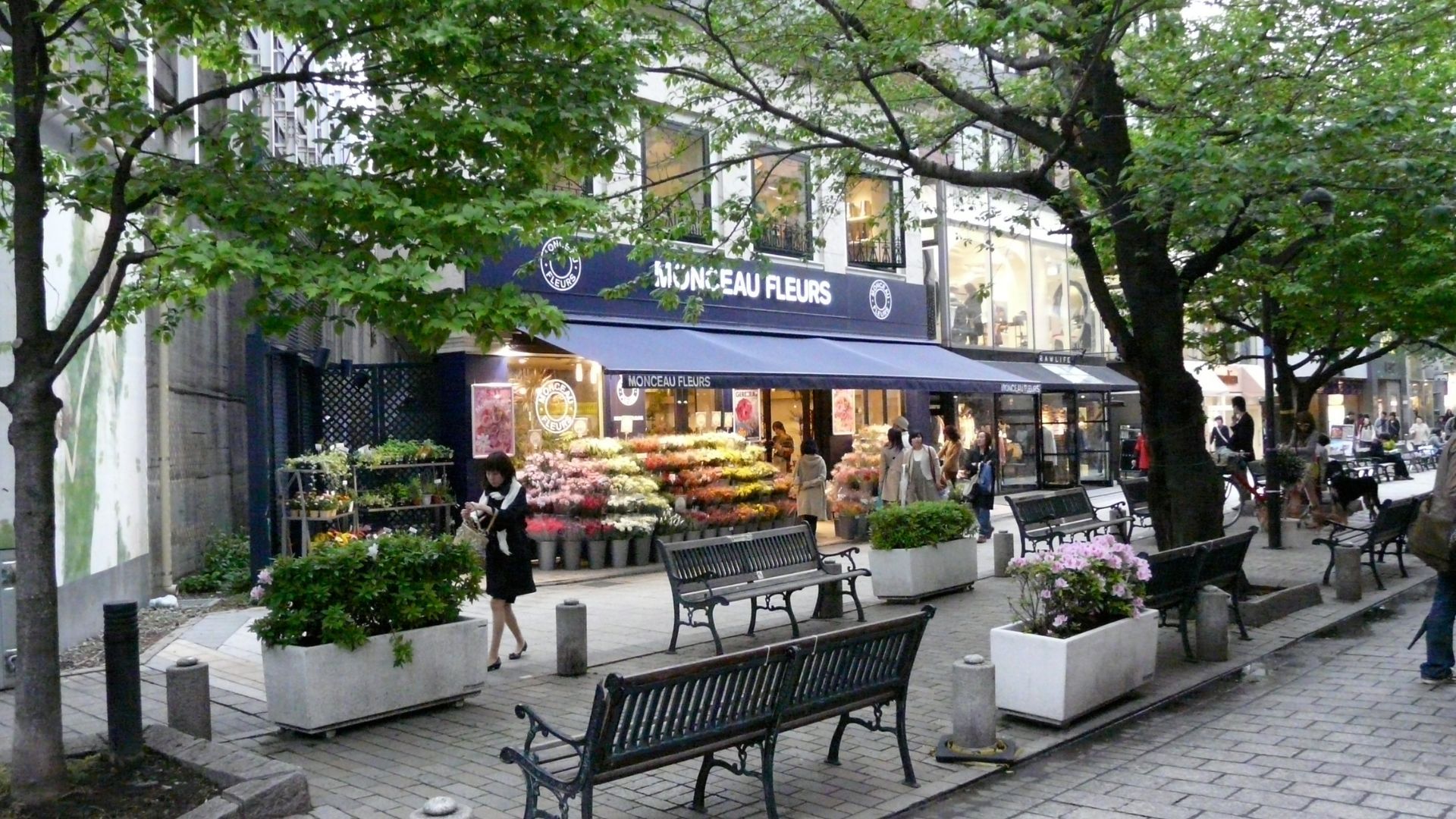 Unique Things To Do In Tokyo: Explore The City Like A Local