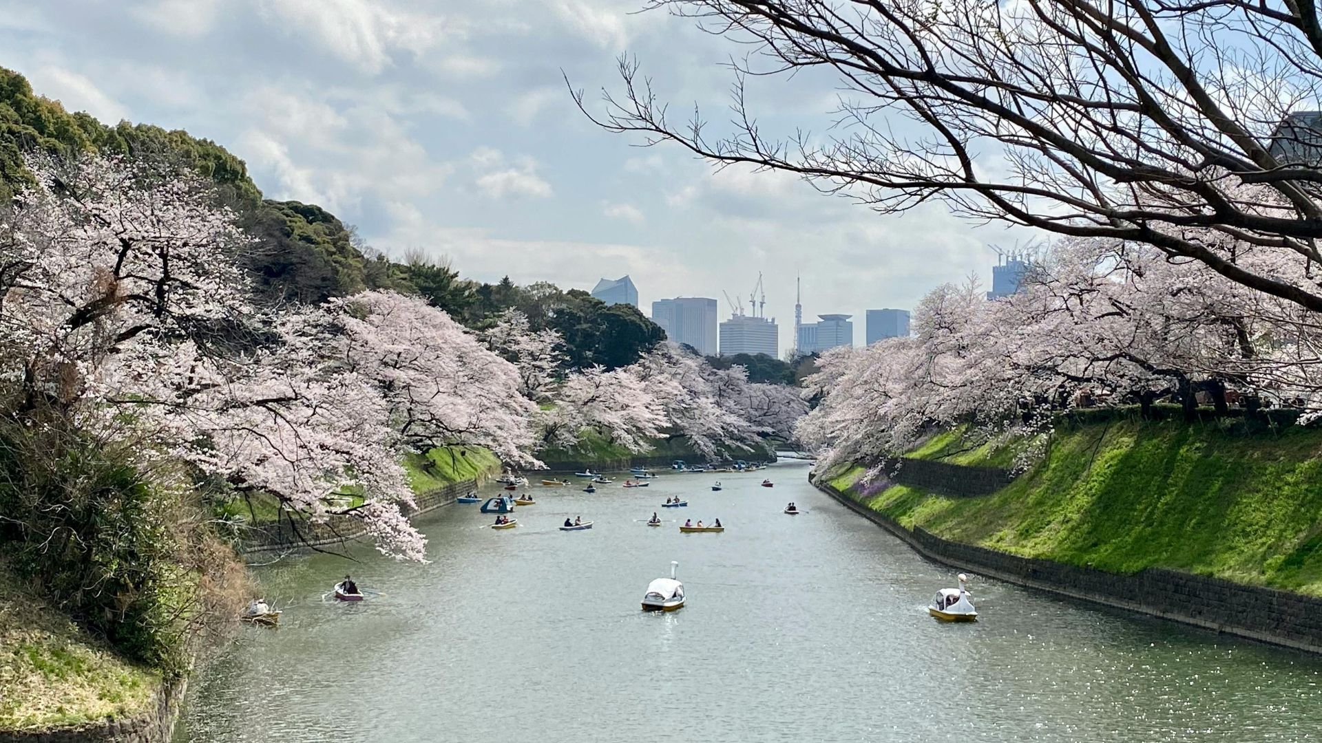 Unique Things To Do In Tokyo: Explore The City Like A Local