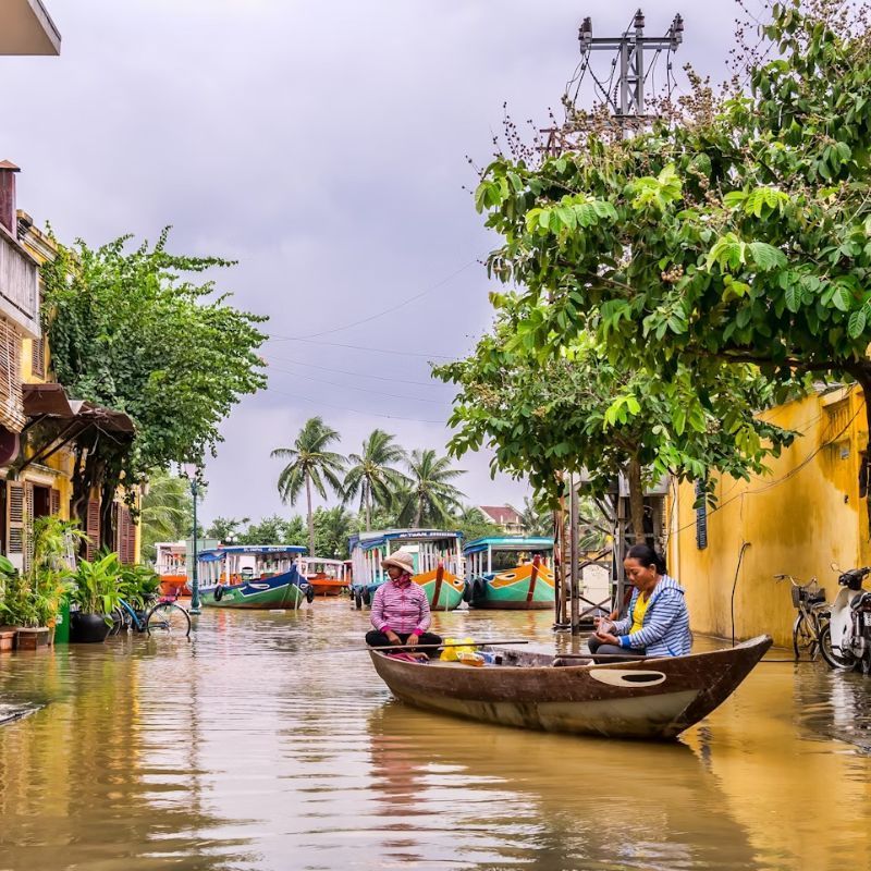 One Piece Shinkansen Train Launched In Japan: All You Need To Know