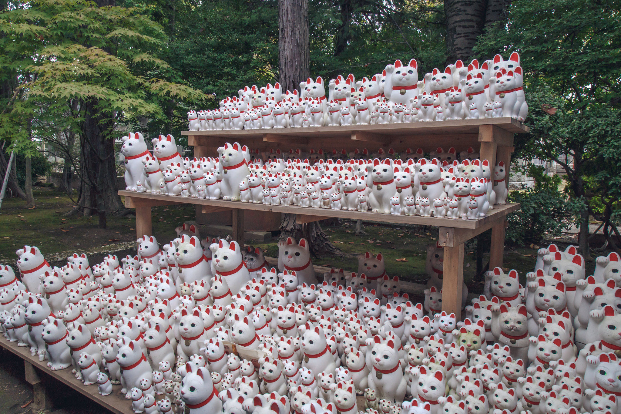 Unique Things To Do In Tokyo: Explore The City Like A Local
