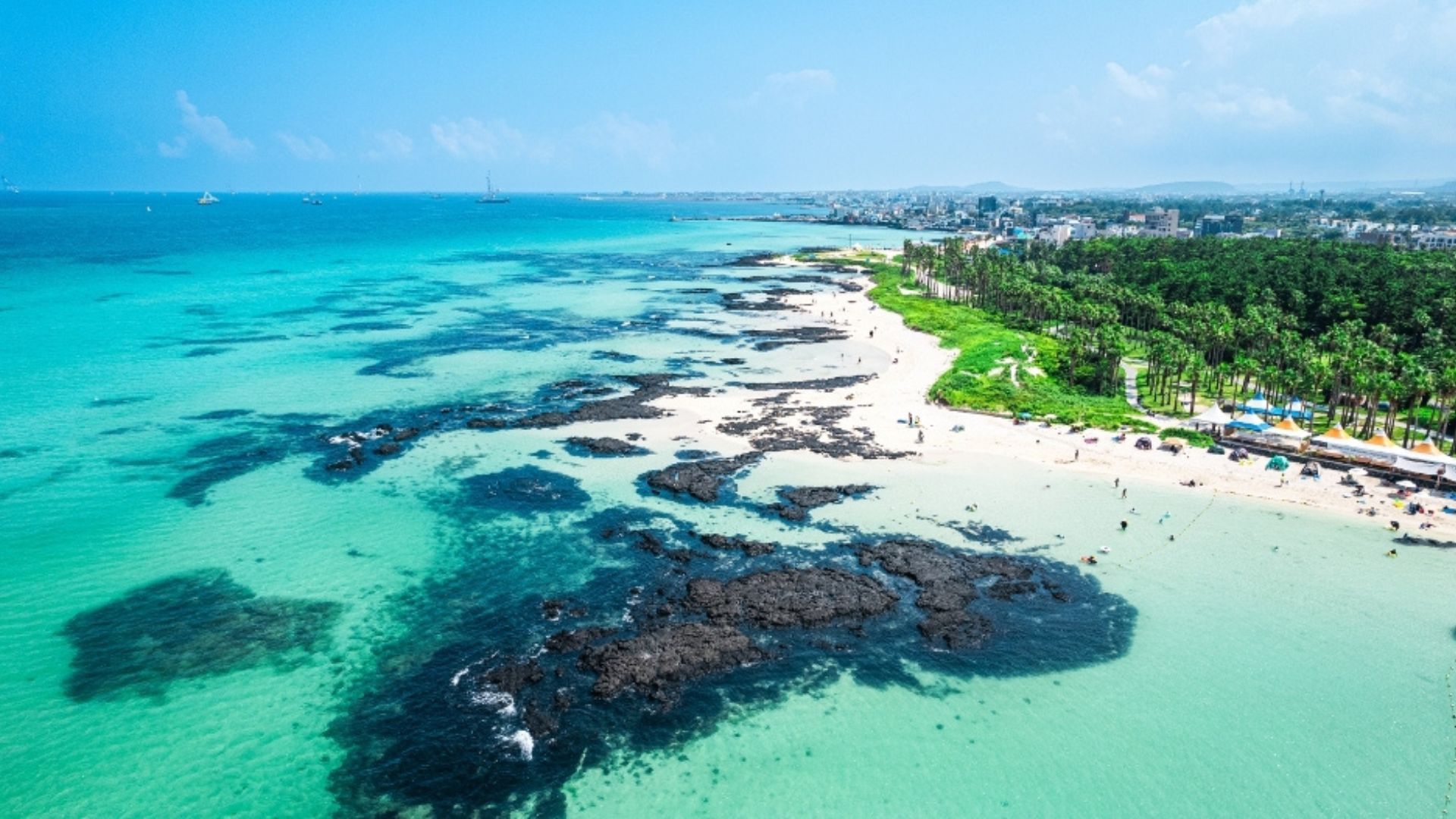 Things To Do In Jeju Island South Korea