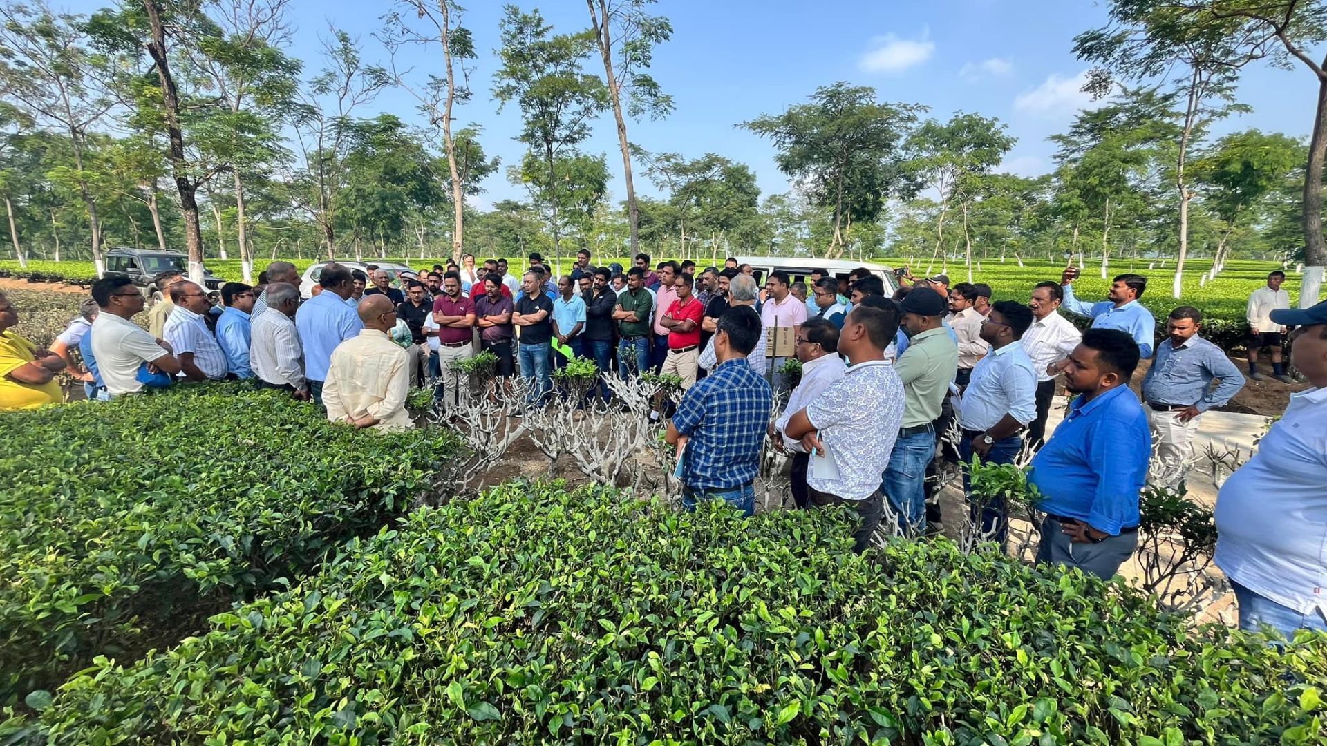 Tea In India: Where to Sip, Stay, & Explore The Country’s Rich Tea Culture