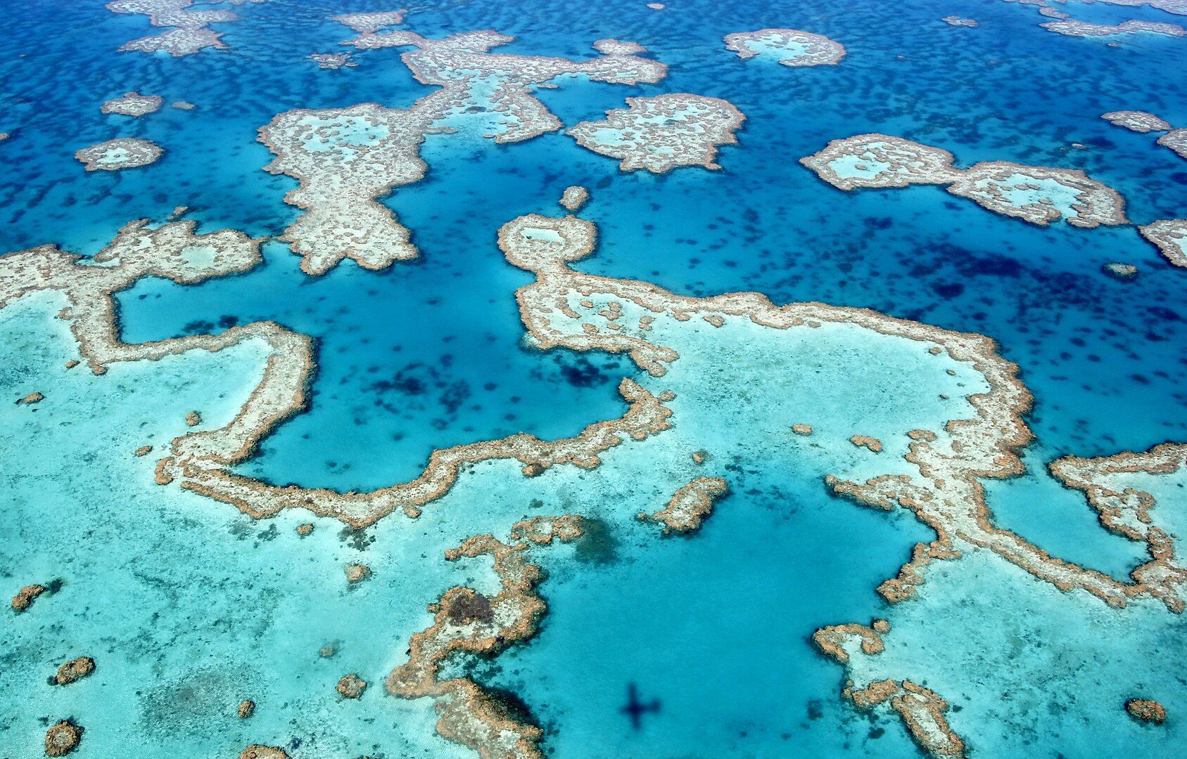 Things To Do In Queensland, Australia: Reefs, Rainforests And Road Trips