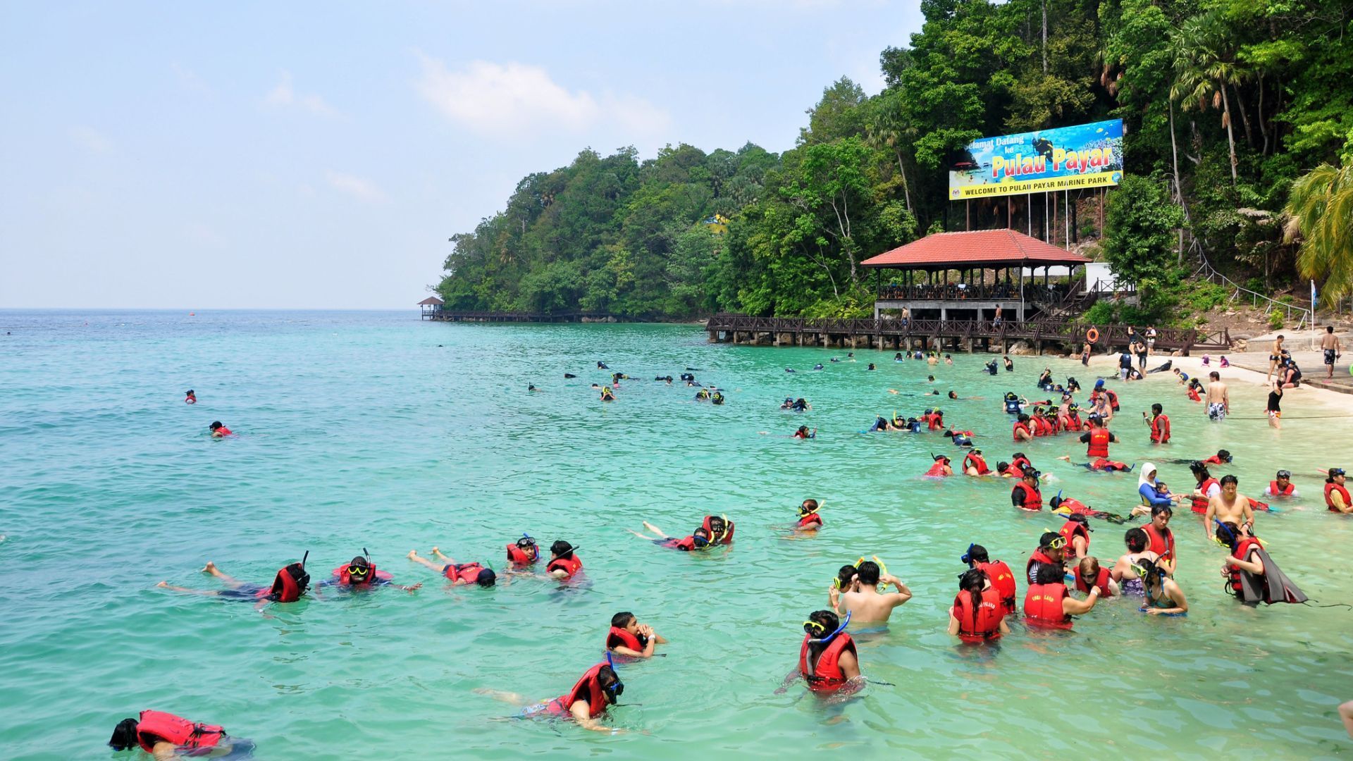 Scuba Diving In Malaysia: Top Spots For A Thrilling Underwater Adventure