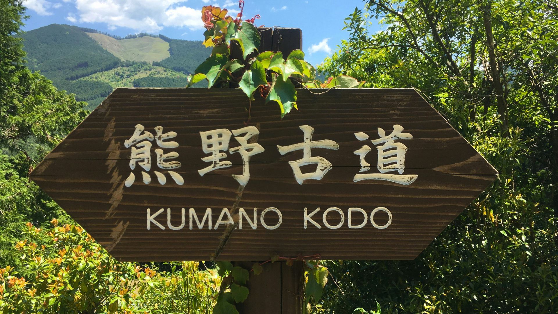 Kumano Kodo Trail: Walk Through Japan’s Most Sacred Pilgrimage Route