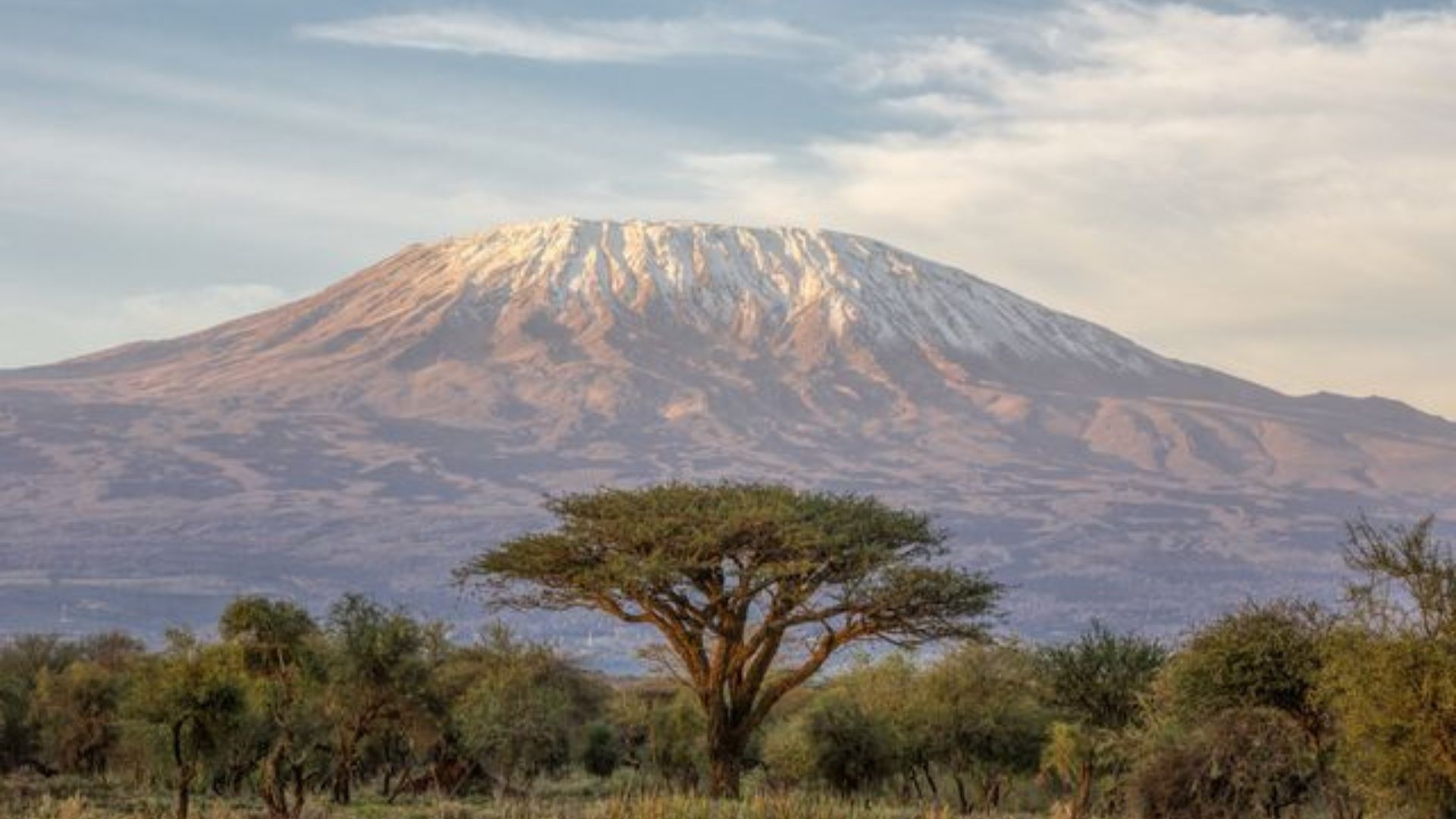 How To Plan Your Mount Kilimanjaro Climb And What To Expect