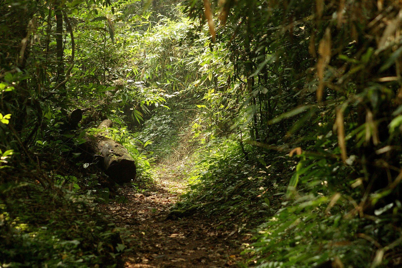 Places To Visit In Kasaragod, North Kerala's Secret Escape