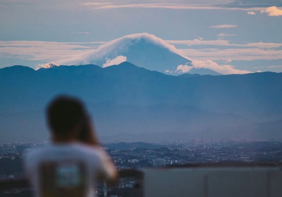 Tokyo Skytree Vs Shibuya Sky: Which One Is Worth Your Time?