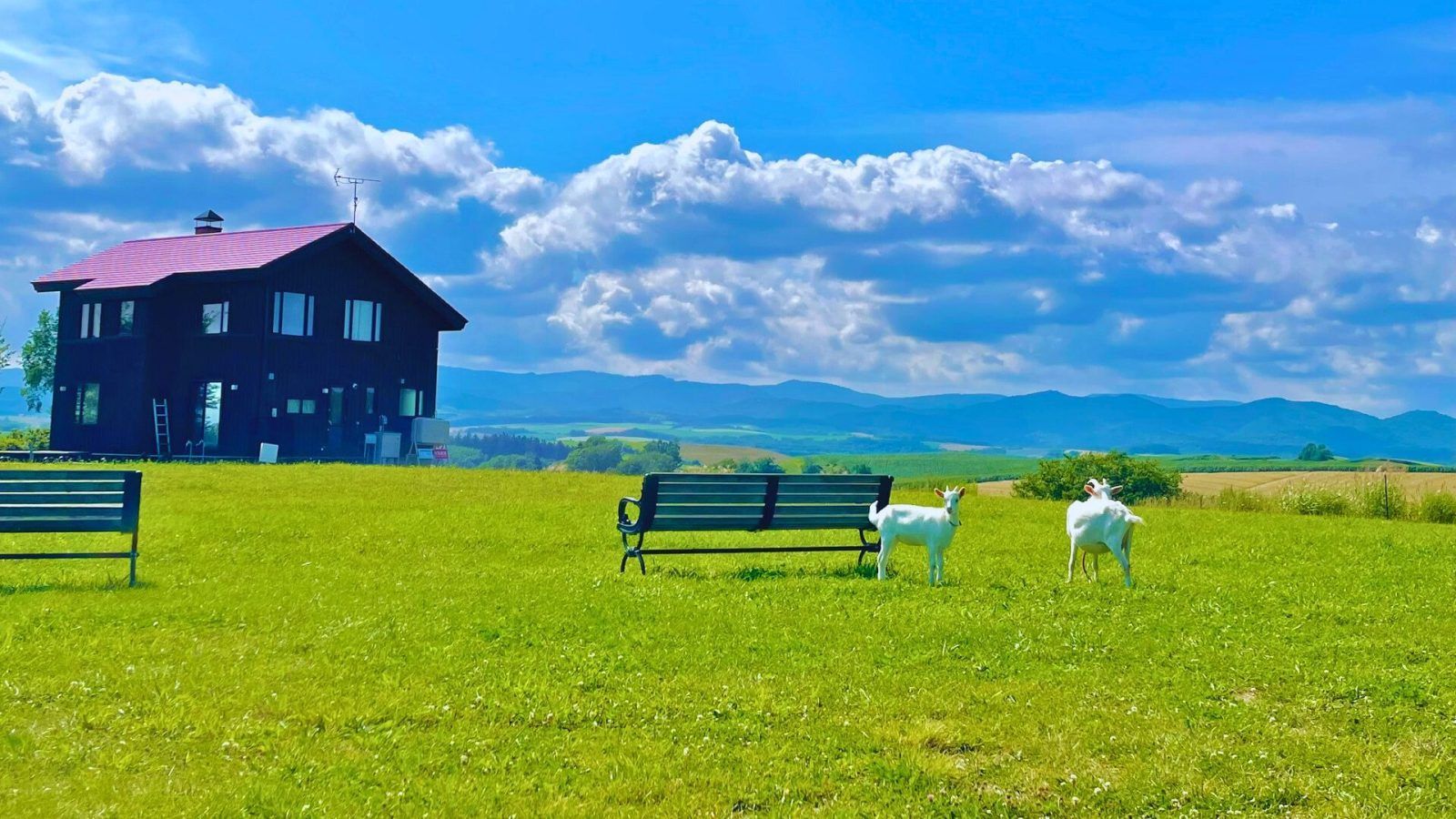 Slow Travel In Japan: When The Journey Is The Destination
