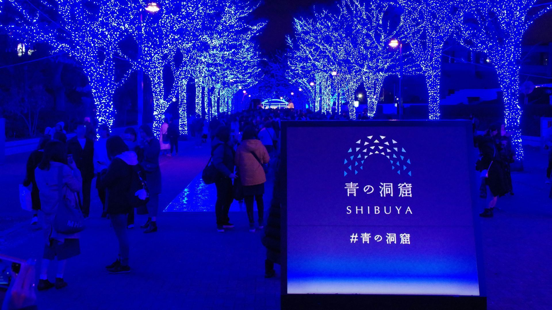Tokyo’s Winter Wonderland: Unmissable Things To Do, Explore, And Eat
