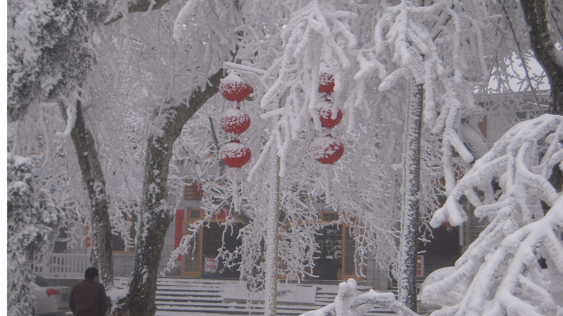 Snowfall Destinations Near Hong Kong: Where To Go For Top Winter Fun
