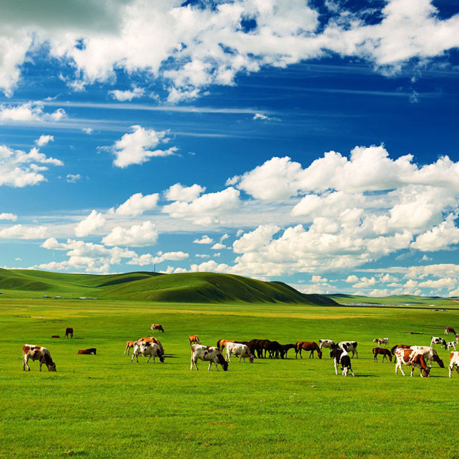 10 Most Beautiful Places Every Nature Lover Should Visit In China