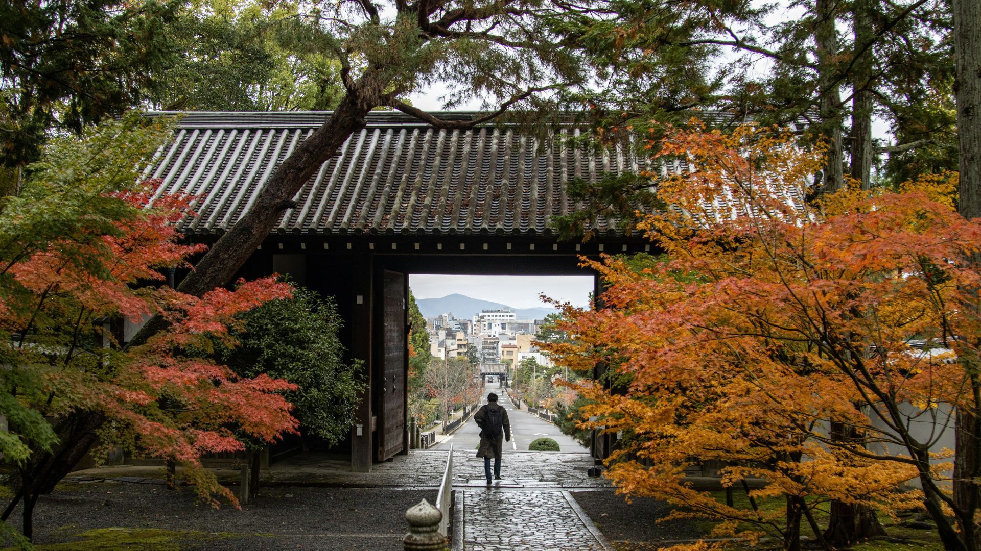 Walkable Cities In Japan: Best Destinations For Exploring On Foot