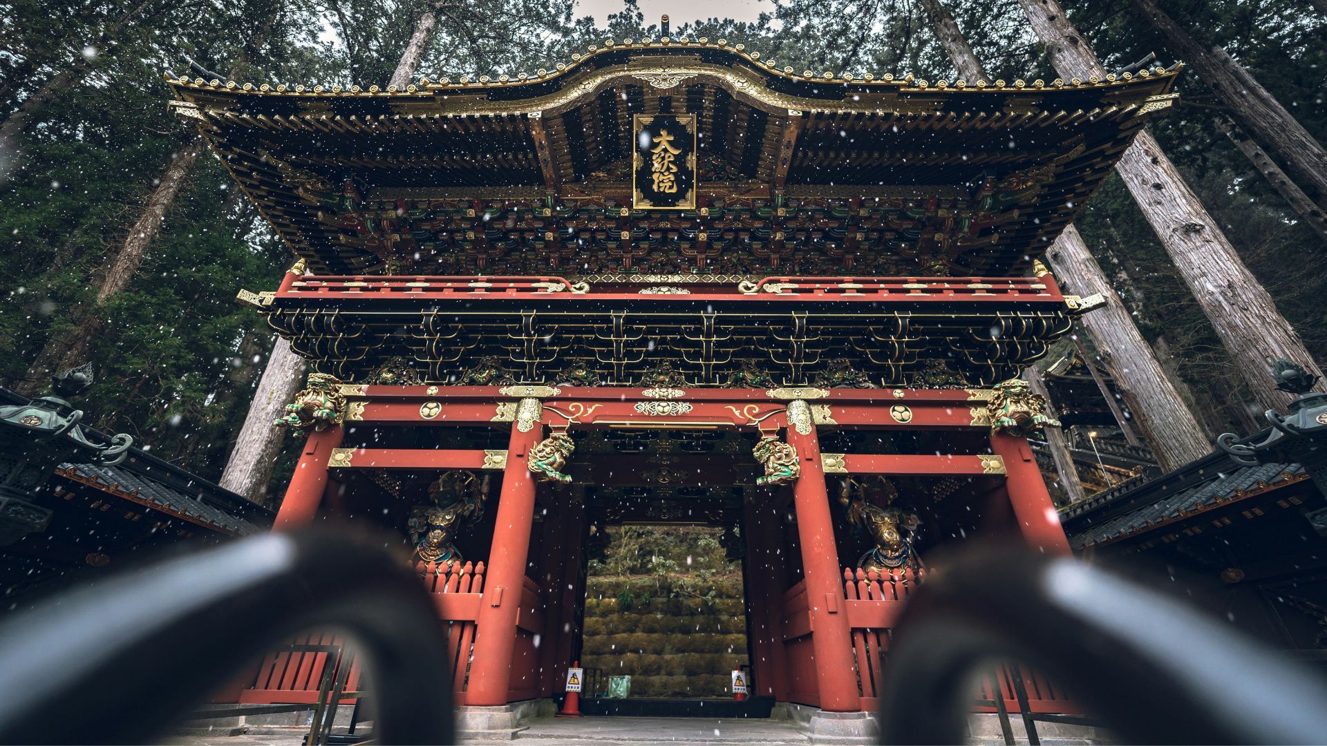 Walkable Cities In Japan: Best Destinations For Exploring On Foot