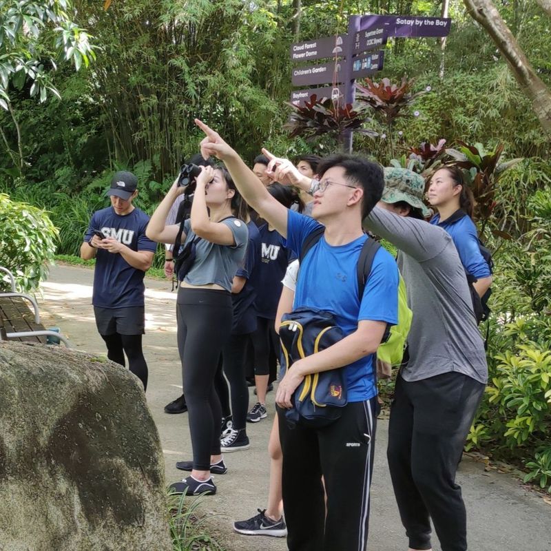 Hong Kong Announces 'Skytopia', A World-Class Hub Of Art And Adventure