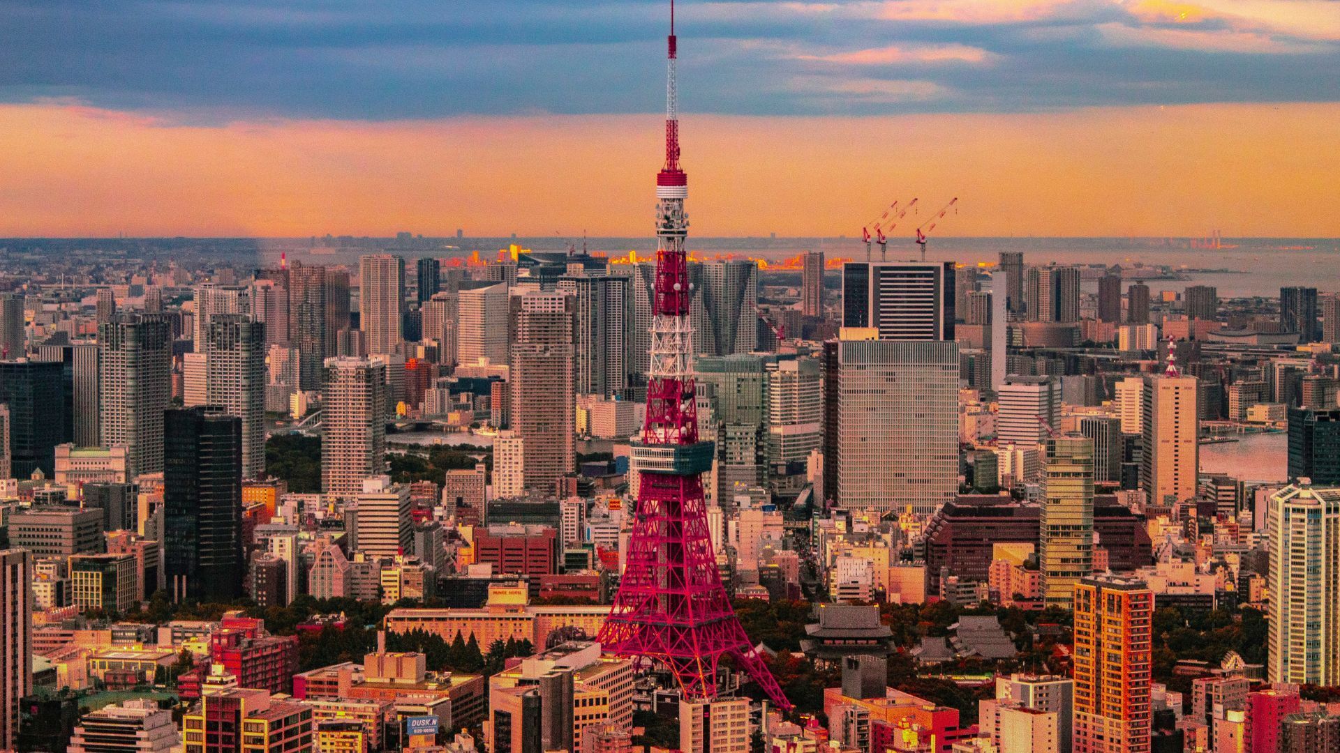Things To Do In Tokyo With Kids: Theme Parks To Hands-On Museums