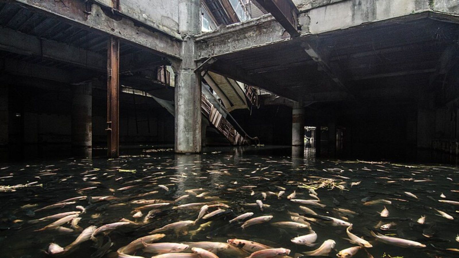 Bangkok Horror Film Festival 2026: Dates, Venue, And What To Expect