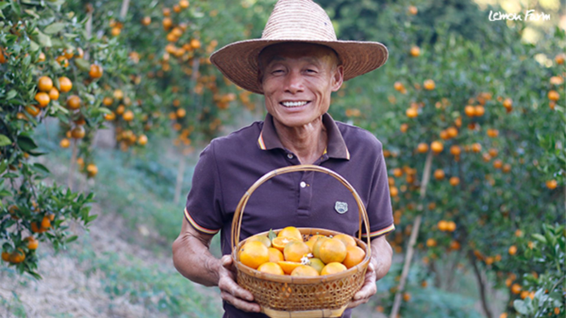 Organic Food Stores In Bangkok You Need To Check Out Now