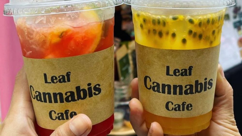 Cannabis Foods In Bangkok, Best Places To Eat