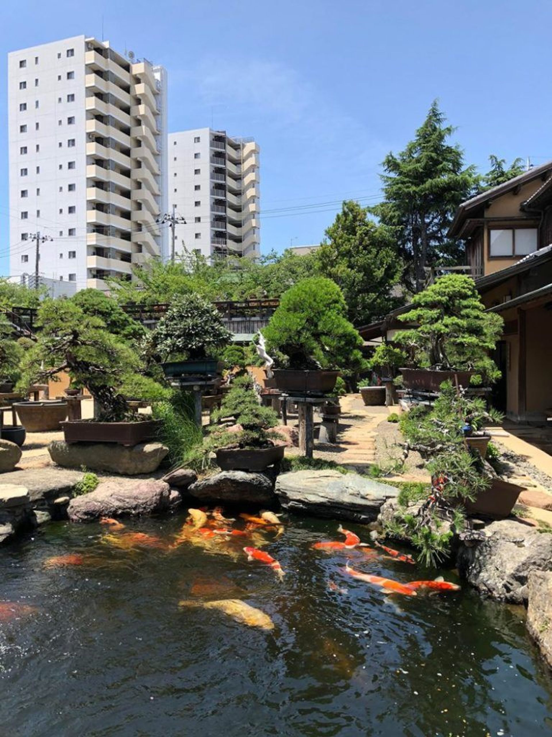 Tokyo x Niigata. The Best of Japan