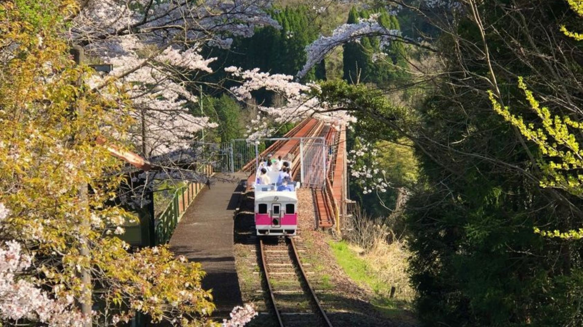 This Sightseeing Train In Japan Runs On Leftover Ramen