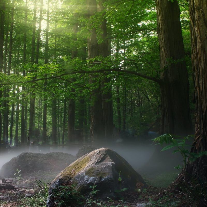 Best Botanical Gardens In The World