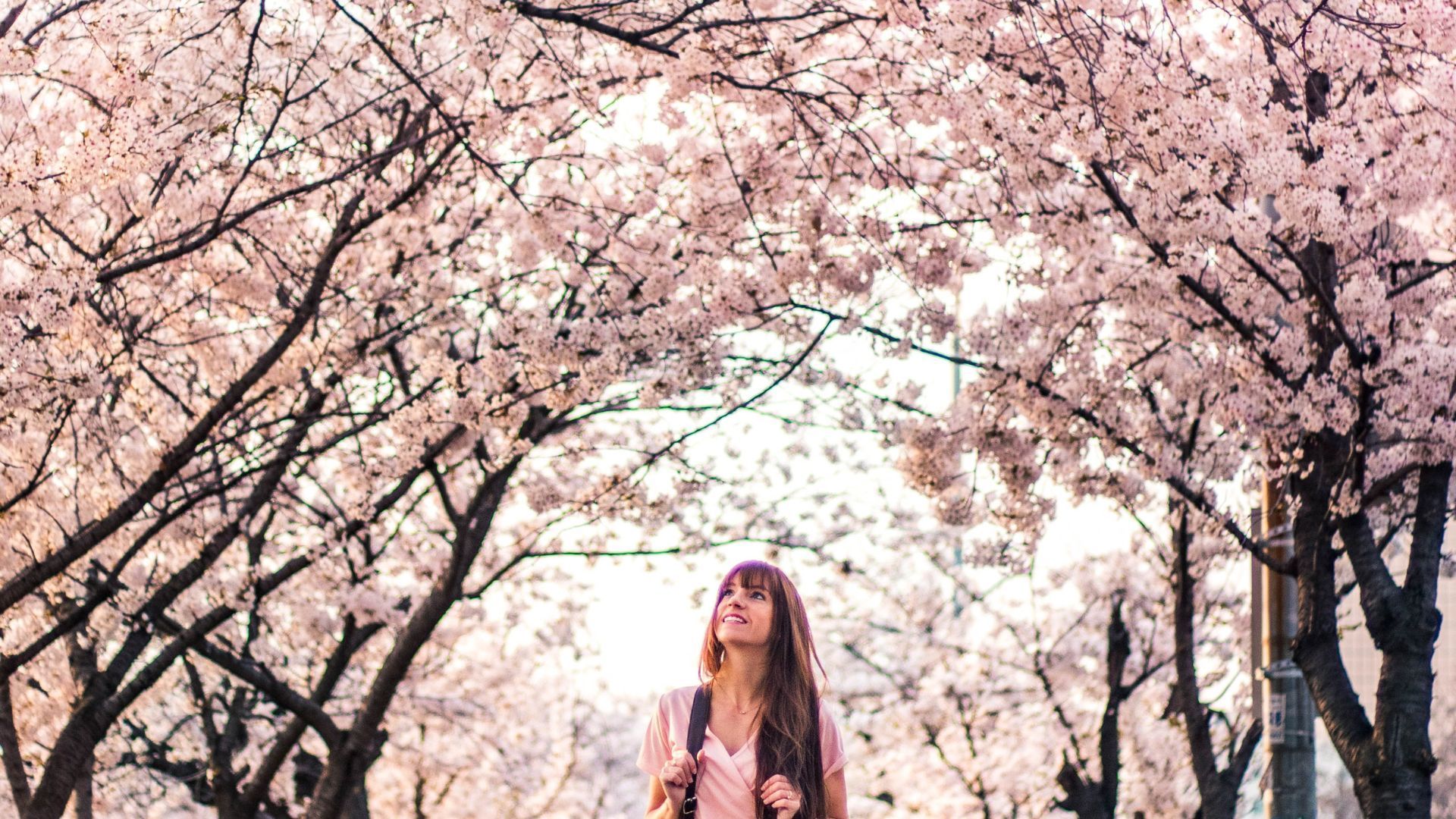 Places Around The World Where You Can Still Enjoy Spring