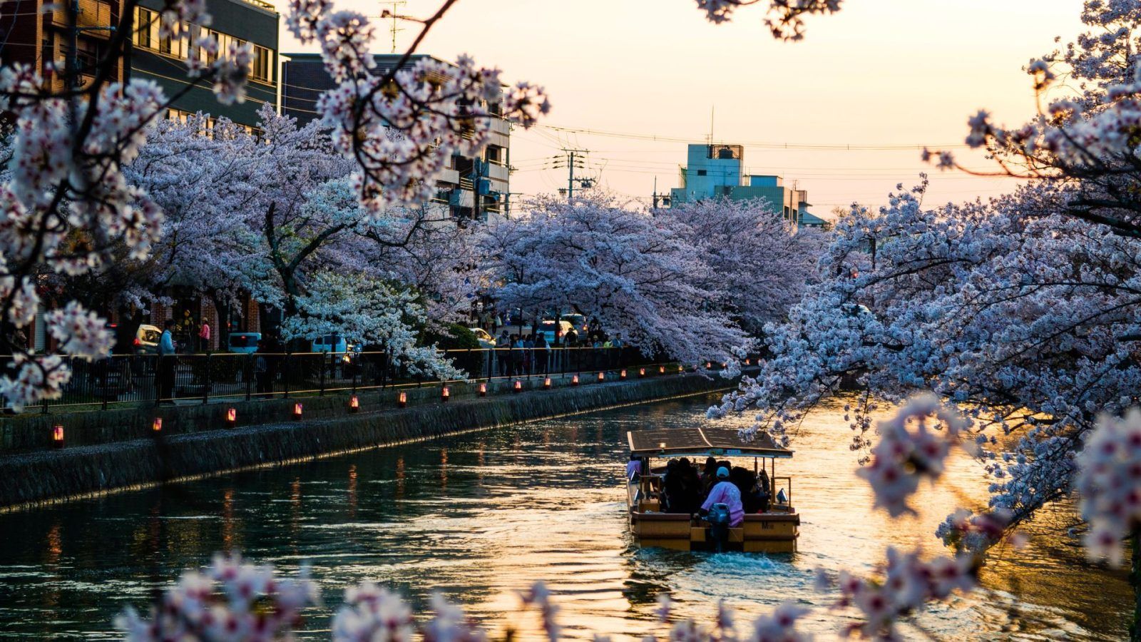 Kyoto Travel Guide: Explore Japan’s Scenic, Spiritual City