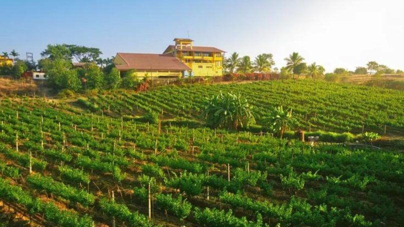 Leading Vineyards And Wineries In India