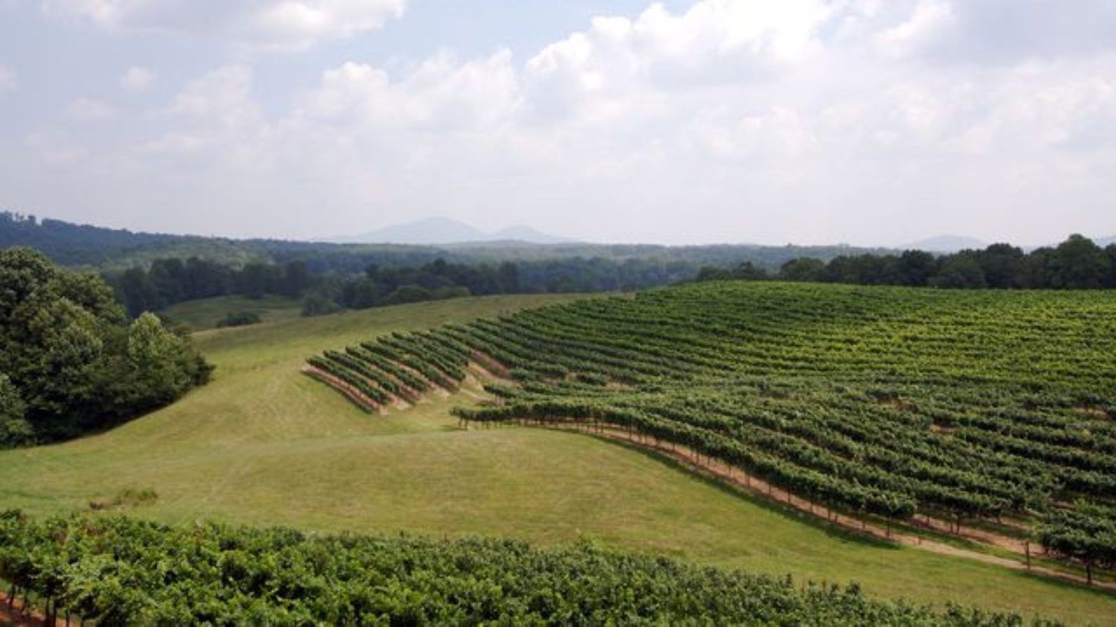 Best Places In Georgia - From Quaint Mountain Towns To Sandy Beaches