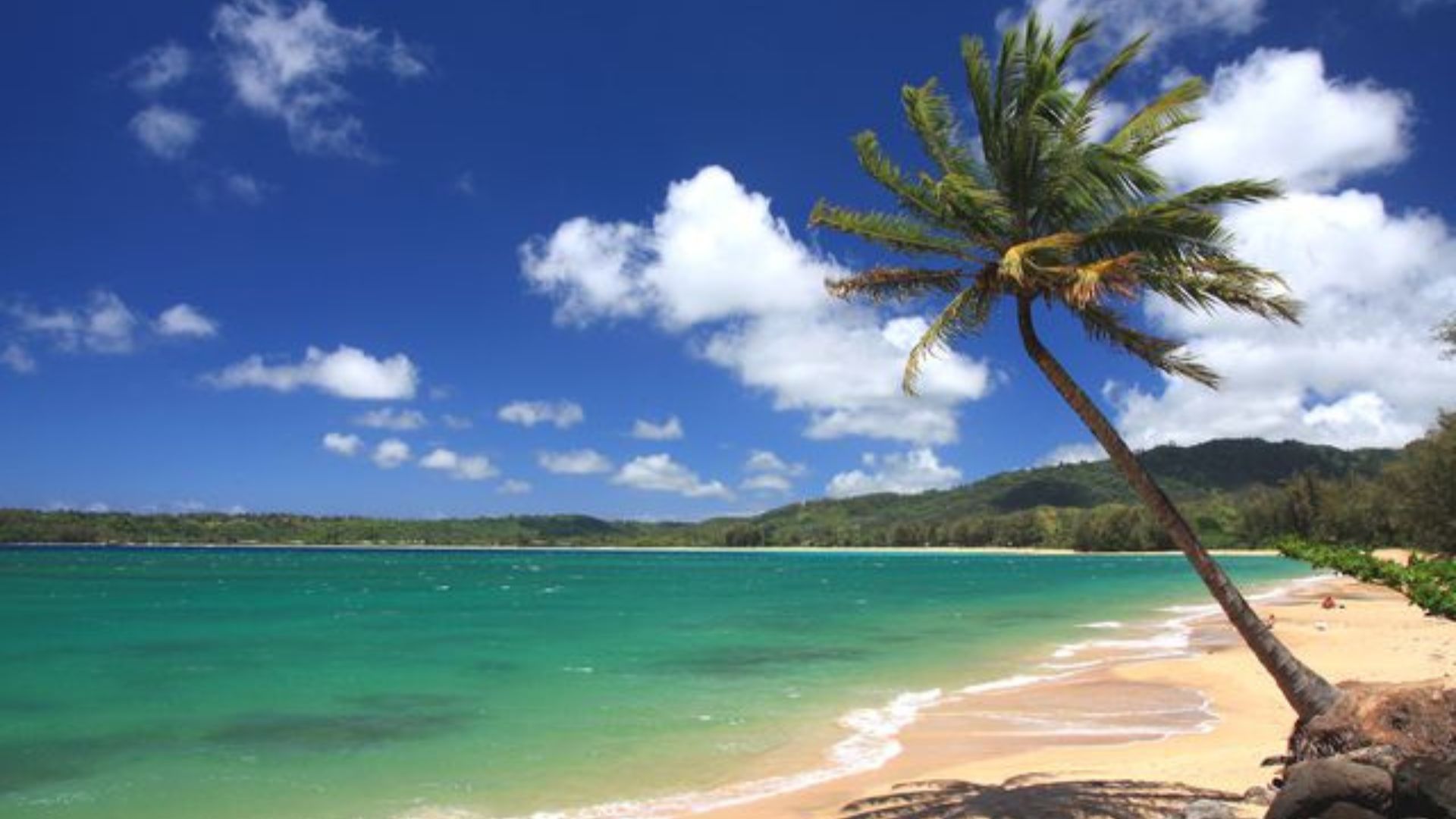 The Best Beaches In Kauai For Sunsets, Snorkelling, And Swimming