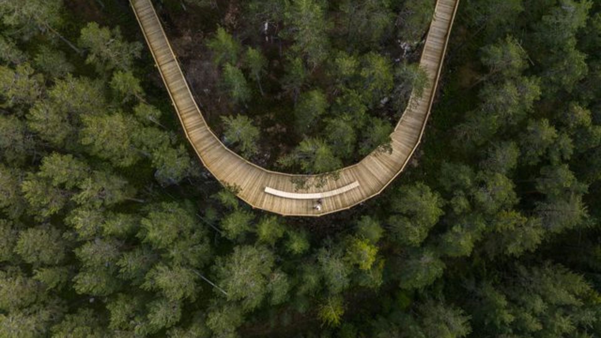 Norway's Haramen Activity Park Gets A New Treetop Walking Trail