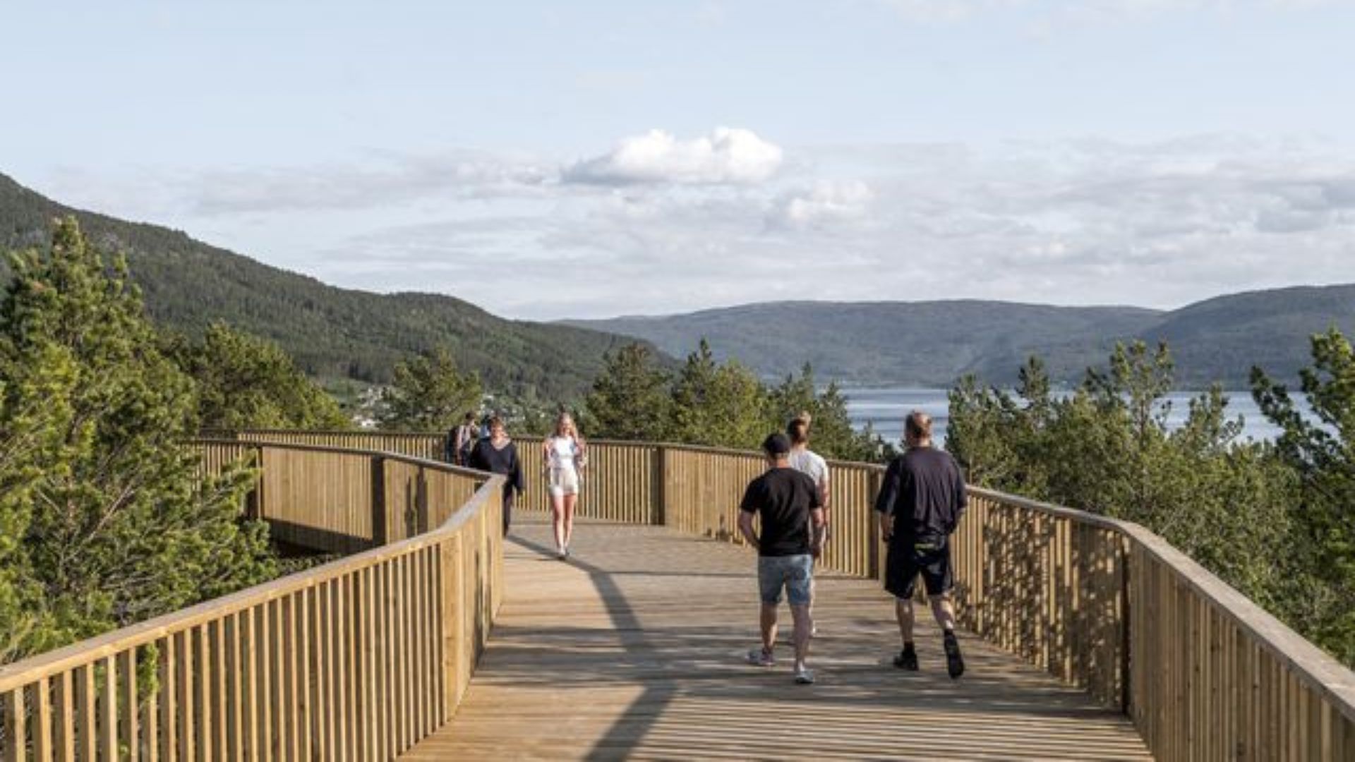 Norway's Haramen Activity Park Gets A New Treetop Walking Trail