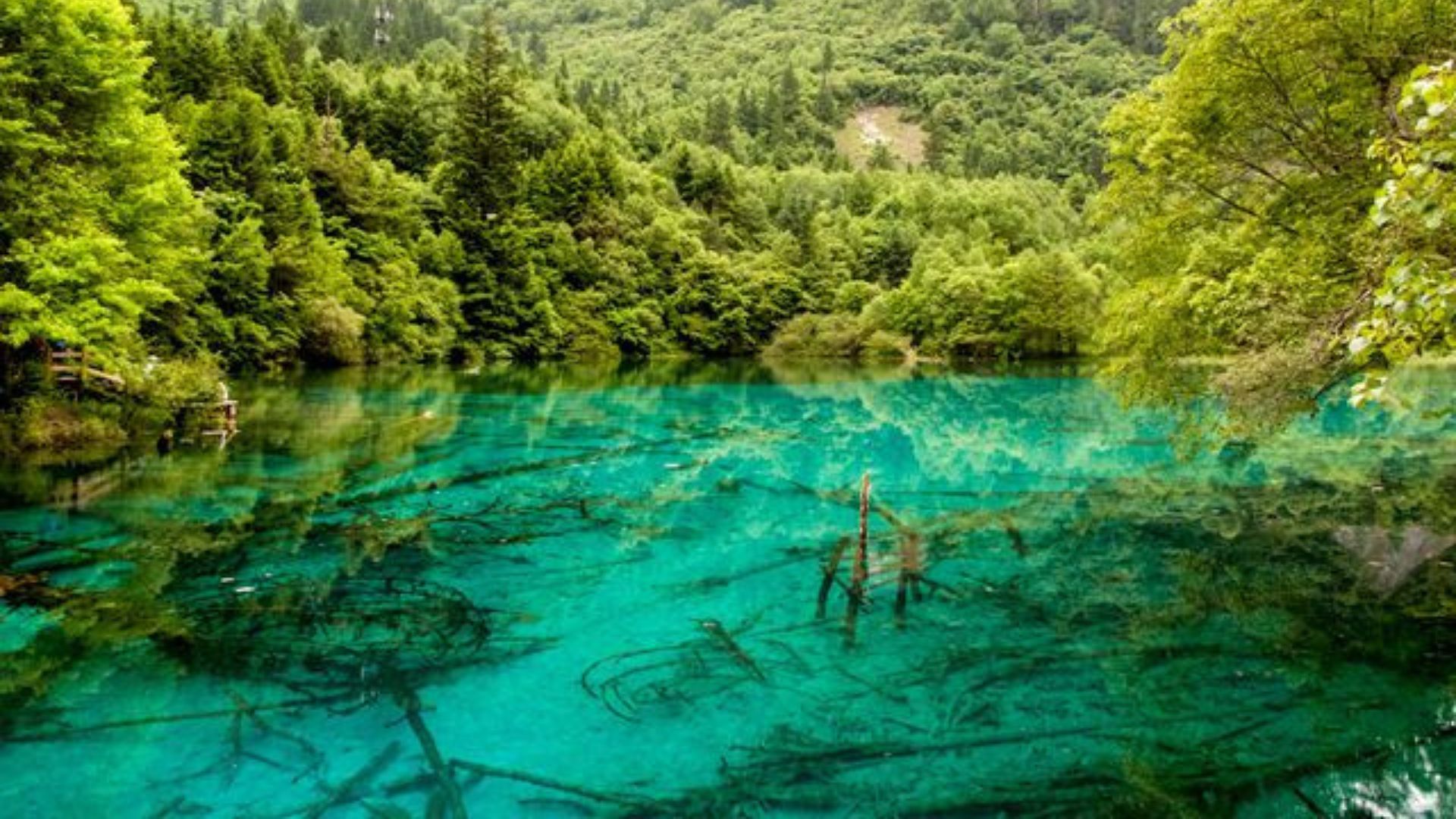 13 Places Where You Can See The Clearest Water In The World