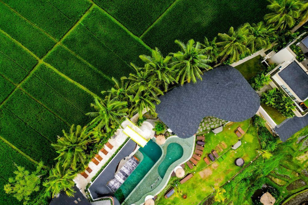 Babies, Here's Why You Need to Let Your Soulshine