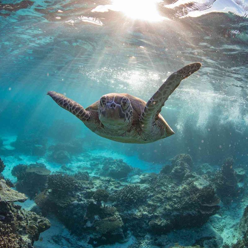 Trips | Travel and Leisure Asia | Thailand