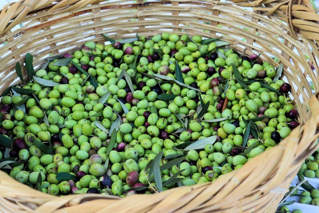 The Residence by Cenizaro Commits to Sustainability Through Unique ...