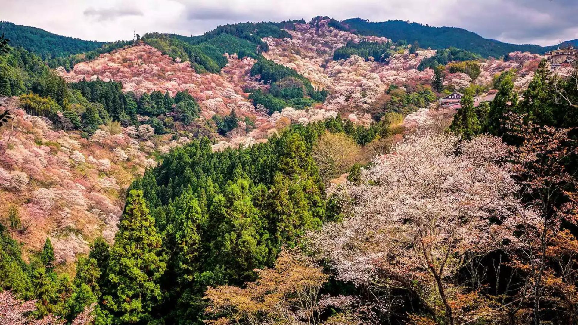25 Most Beautiful Places In Japan