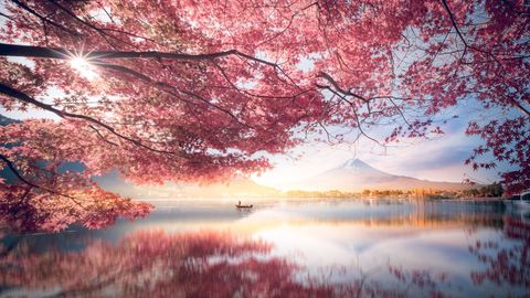 VIDEO: Here Are Some Cool, Lesser-Known Places to Go in Japan