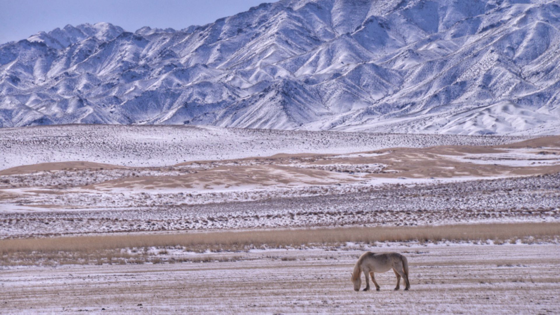Learn About The Secrets Of The Cold Deserts Across The World