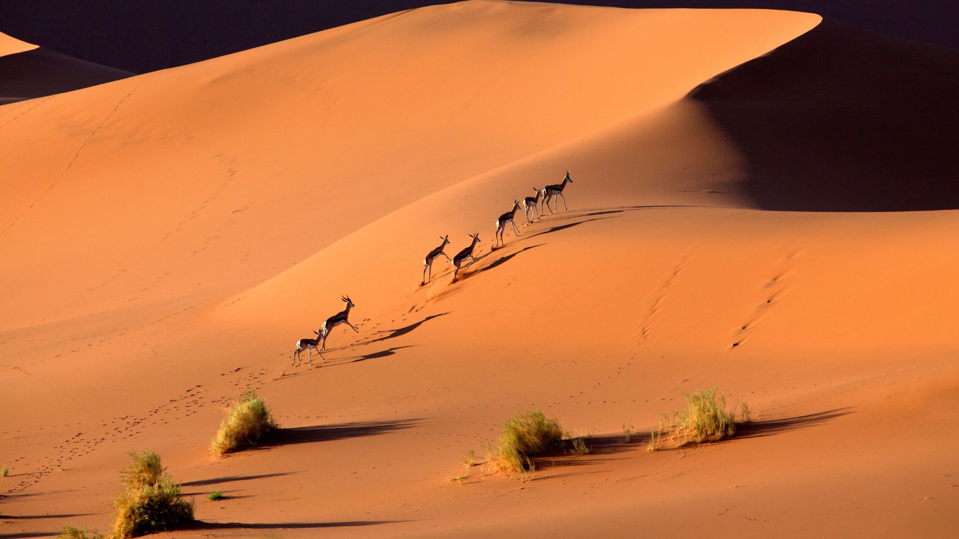 The Most Stunning Snapshots Of Namibia: Deserts, Culture And Beyond
