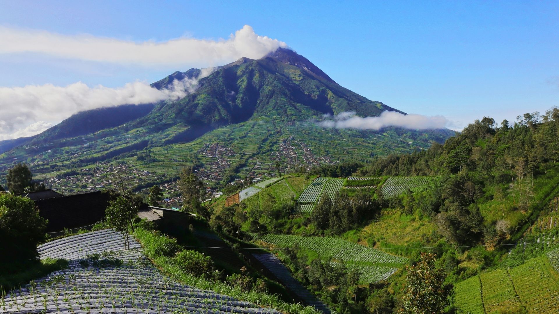 Chasing Smoke and Scenery: Hiking Asia's Active Volcanoes