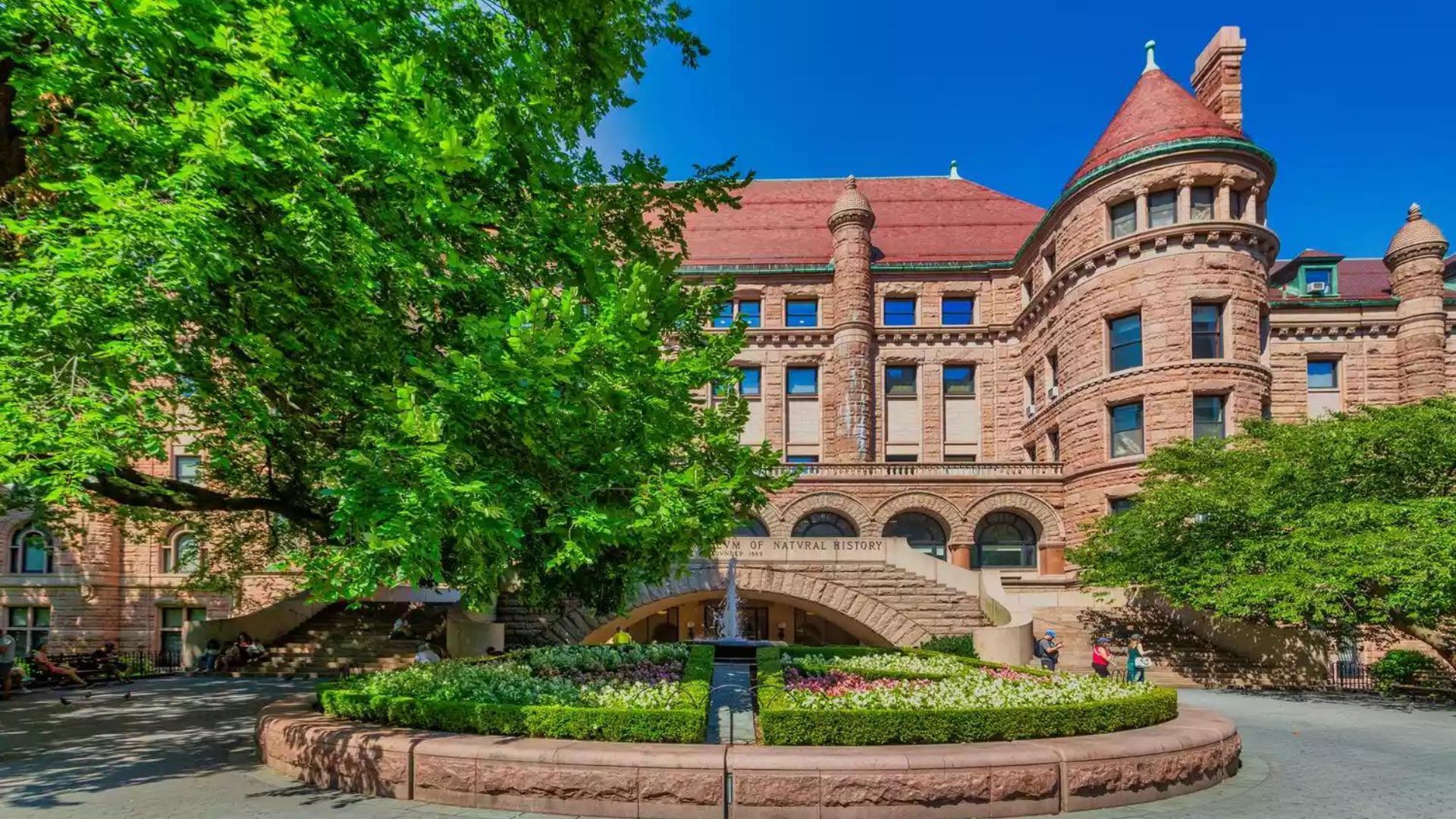 20 Best Museums In New York City