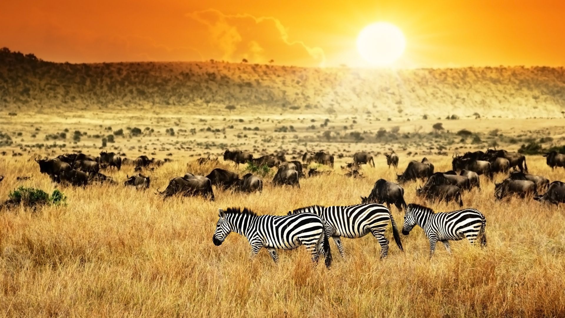Countries To Visit For A Sunny Winter Vacation in Africa