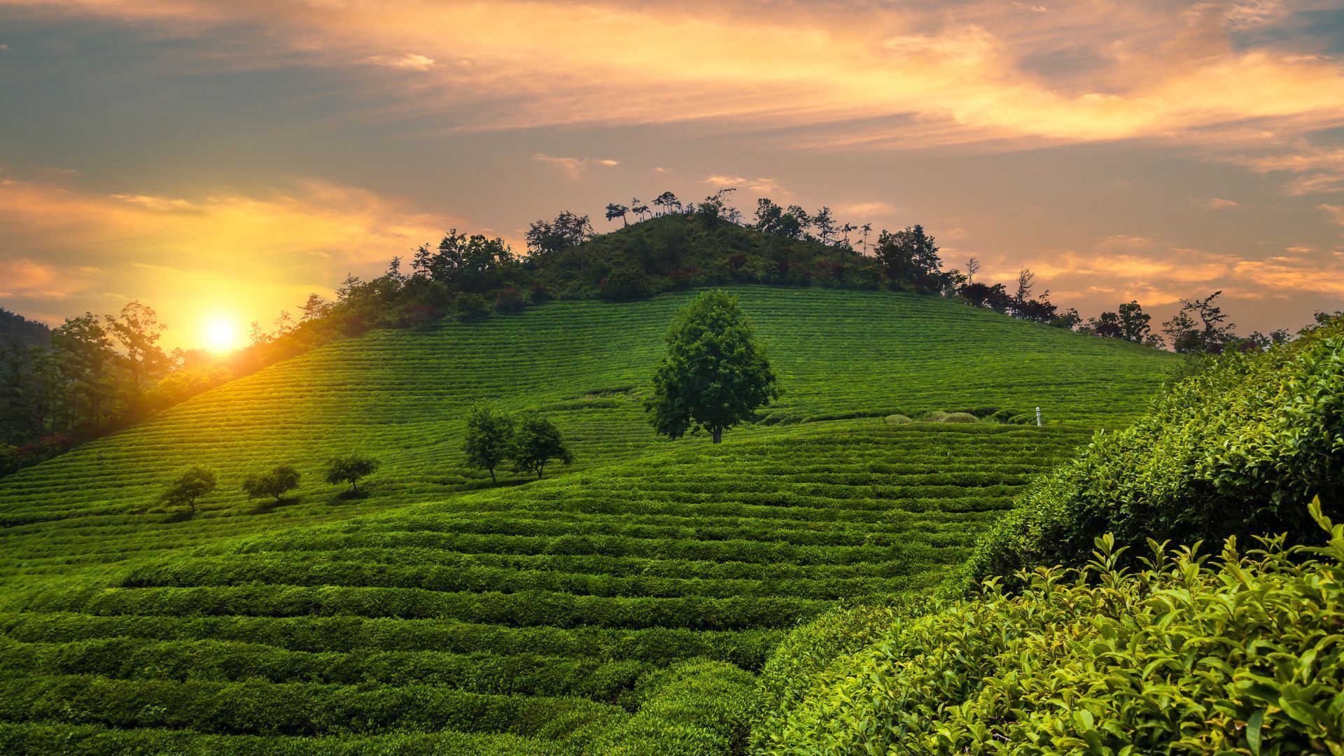 10 Most Beautiful Places To Visit In South Korea (With Photos) - 2024